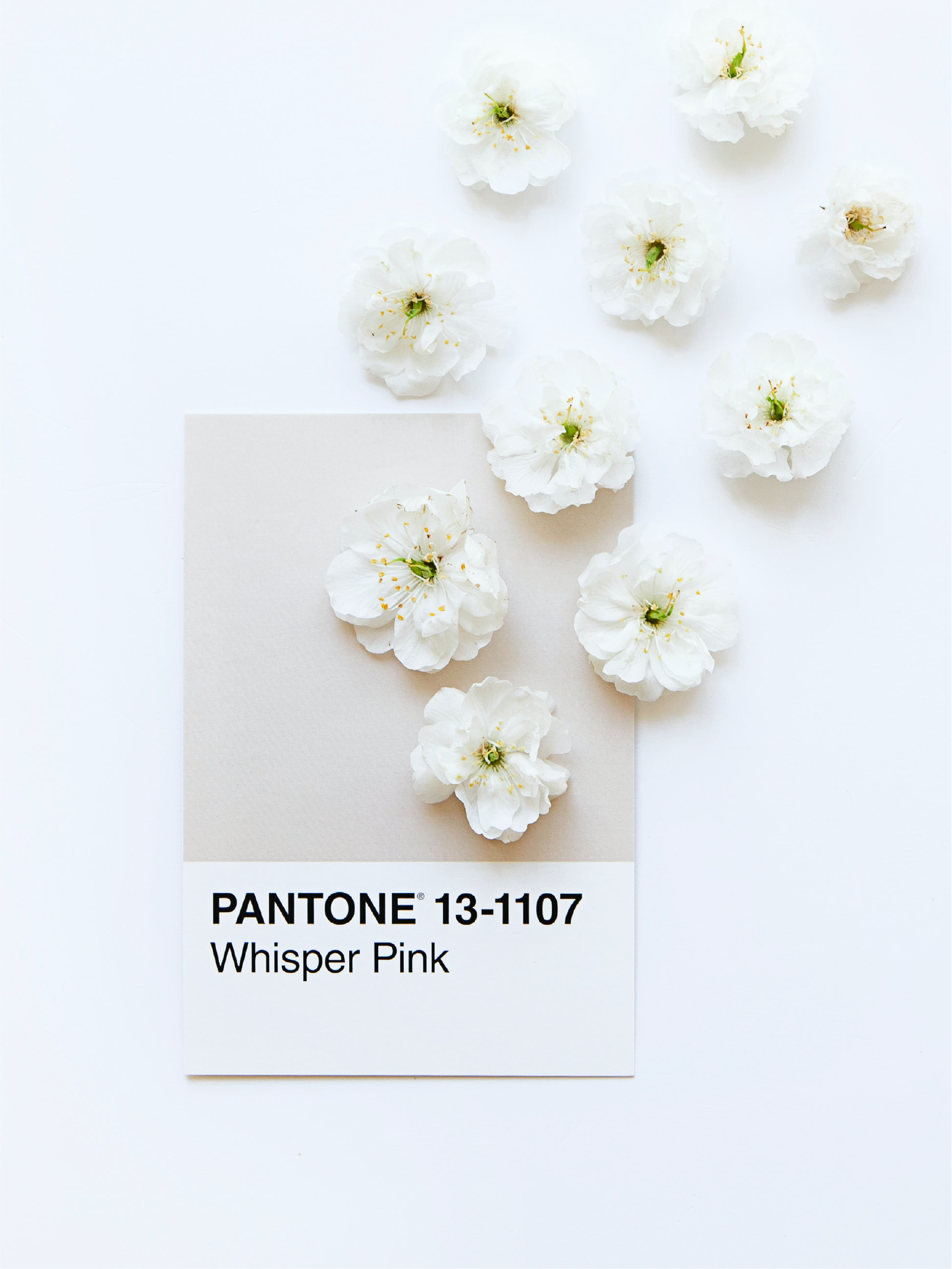 About – Moonstruck Designs